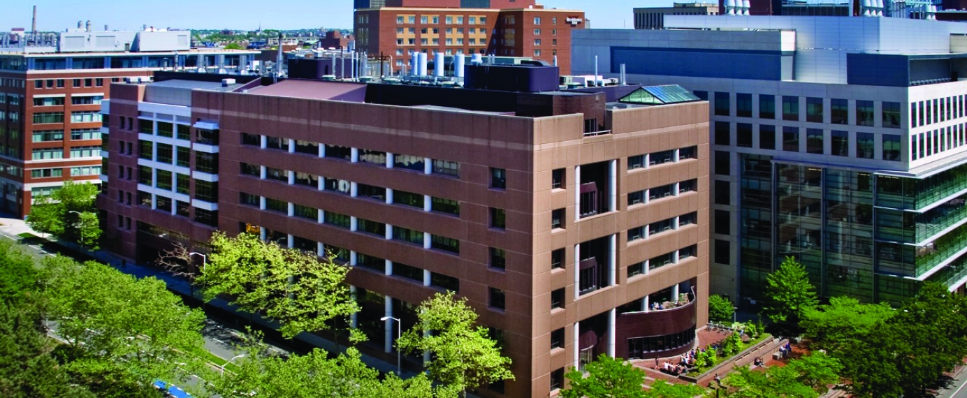 Whitehead Institute Whitehead Institute